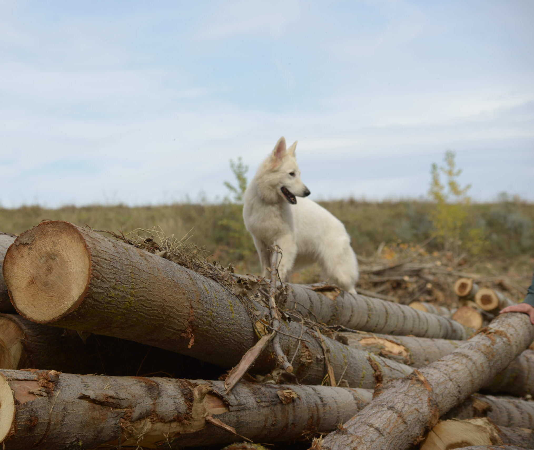 Sobre nosotros - The Winter Legacy